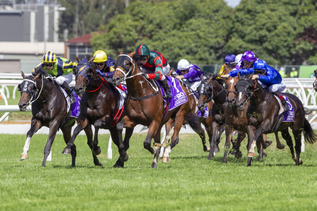 Improving racetrack surface selection for safer conditions for ...