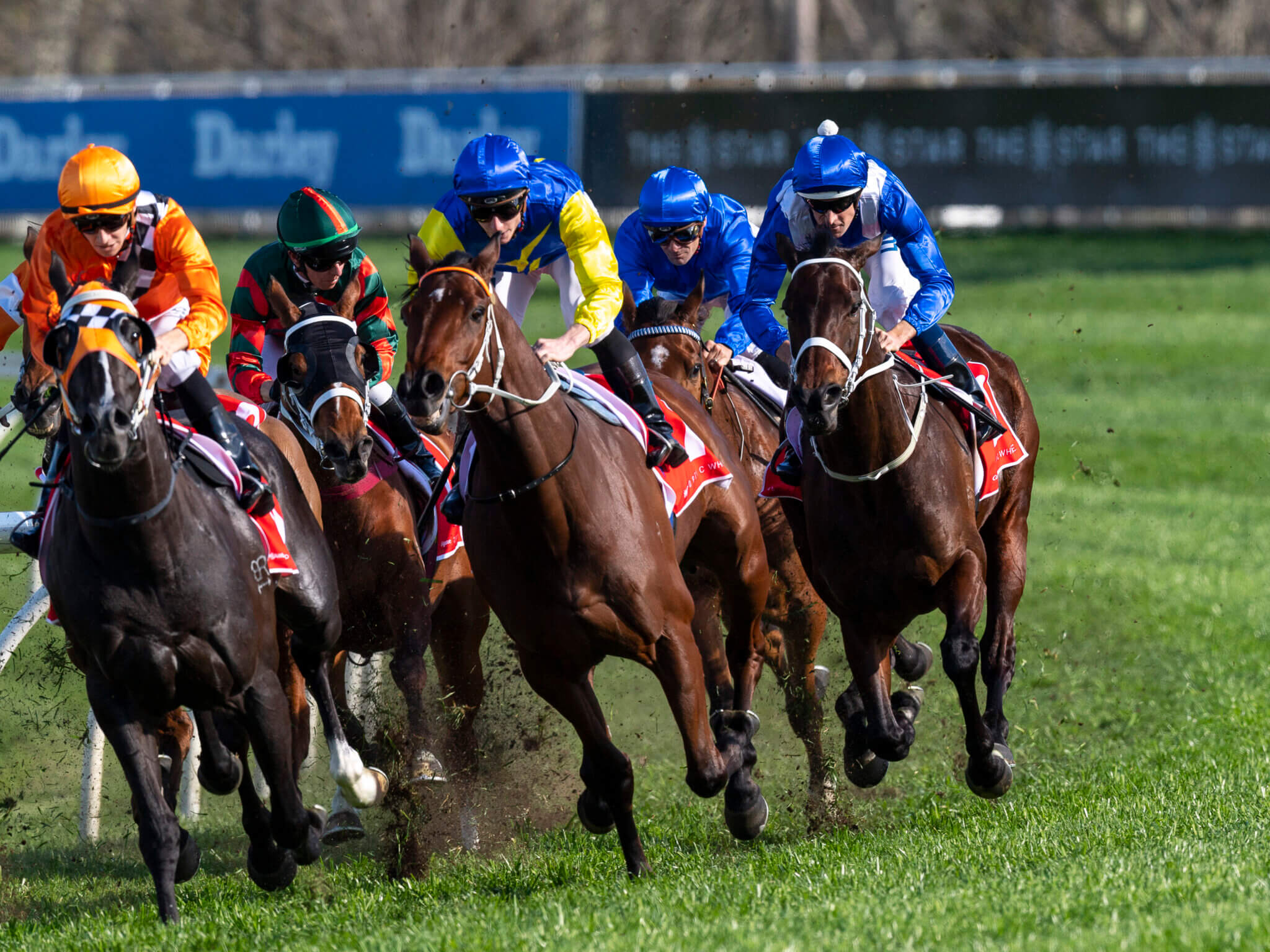 Foreign Investment In Australia Racing – The Issues - Thoroughbred ...